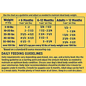 Nature’s Recipe Grain Free Salmon, Sweet Potato & Pumpkin Recipe Dry Dog Food, 24 lb. Bag