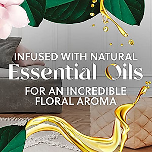 Air Wick Plug in Scented Oil, Starter Kit, Lavender and Chamomile 1ct, Essential Oils, Air Freshener, Purple (Pack of 2)