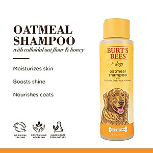 Burt's Bees for Dogs Natural Oatmeal Dog Shampoo | with Colloidal Oat Flour & Honey | Cruelty Free, Sulfate & Paraben Free, pH Balanced for Dogs - Made in USA, 16 Oz - Pack of 2