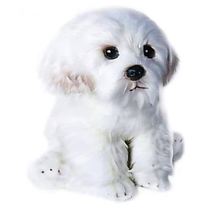 14" Realistic Plush Maltese Dog, Stuffed Animal Puppy Dog Toys, Soft Plush Pillow Birthday for Kids and Adult, White