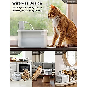 DownyPaws Wireless Cat Water Fountain, Battery Operated Automatic Pet Water Fountain with Motion Sensor, 84oz/2.5L Ultra Quiet Dog Water Dispenser Inside