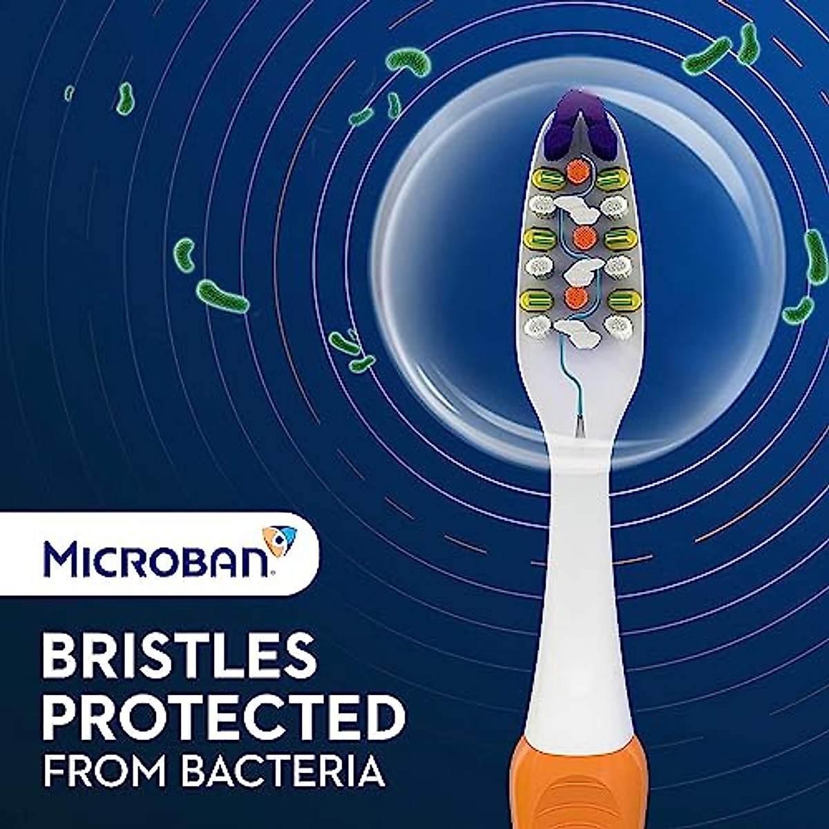 Oral-B Pro-Health Pulsar Battery Toothbrush, Soft, Blue , 2 Count (Pack of 1)