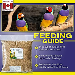 Hagen Finch Staple Vme Seed, 25-Pound