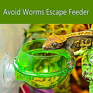 Suction Cup Reptile Feeder, Anti-Escape Reptile Food Bowl, Chameleon Bowl, Worm Live Fodder Container ,Translucent Home Pet Feeder Supplies Accessories for Tortoise Gecko Snakes Chameleon Iguana