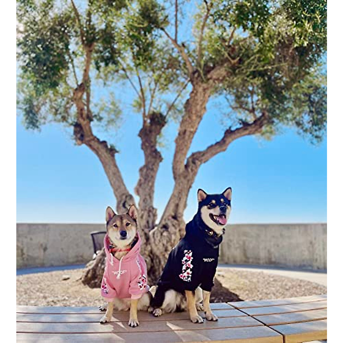 ChoChoCho Woof Dog Hoodie, Designer Dog Hoodies for Small Medium Large Breeds, Art Collection Dog Sweatshirts, Street Drawstring Hoodies Outfit Clothes for Puppy Puppies (M, Sakura/Black)