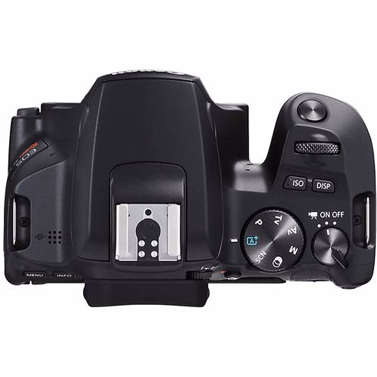 Rebel SL3 Digital SLR Camera (Body Only) with Deluxe Accessory Bundle incl. Memory Cards, Backpack and More