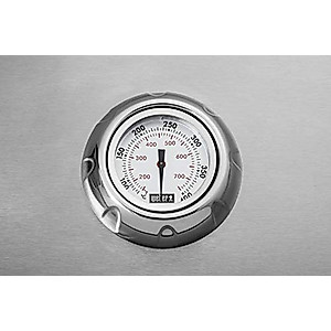 Weber Summit S-460 Built-In Natural Gas in Stainless Steel Grill