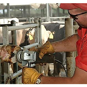 Complete Dairy Cow Hoof Care/Trimmer Set 110v US