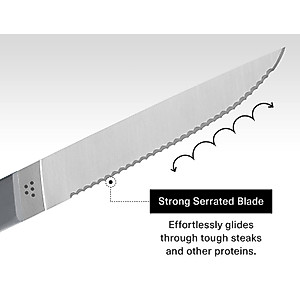 Misen Steak Knives Set of 4 - Precision Serrated Blades for Effortless Dining - Stainless Steel - Superior Cuts with Four Steak Knives Handles for Stylish Elegance - Gray