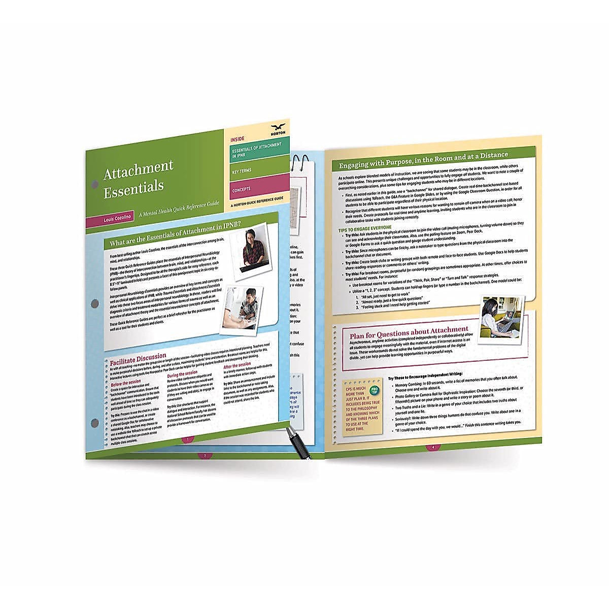 Attachment Essentials: A Mental Health Quick Reference Guide (Norton Series on Interpersonal Neurobiology)