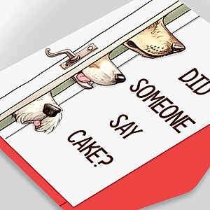 popmazing Cute Dog Birthday Cake Card for Woman Men, Happy Birthday Card from Dog, Birthday Cards Funny for Dog Lovers, Humor Dog Bady Greeting Card - 5 x 7 Inches