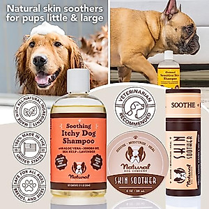 Natural [Dog] Company Oatmeal Sensitive Skin Shampoo, 12 oz., Dandruff Shampoo, Hypoallergenic, Plant Based Ingredients, Bathing Supplies, Itchy [Skin] relief for [Dog]s