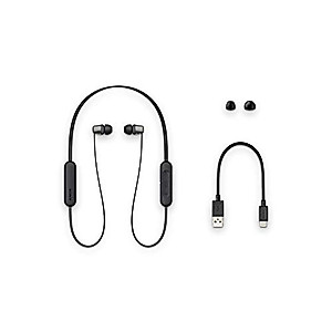 Sony Wireless in-Ear Headset/Headphones with Mic for Phone Call, Black (WI-C310/B)
