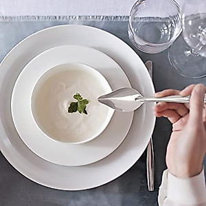 Hemoton 4.7inch Bird Stainless Steel Feeding Spoon, 6Pcs Special Bird Feeding Scoop Spoons, Hand Feeding Spoons for Peony Cockatiel Parrot