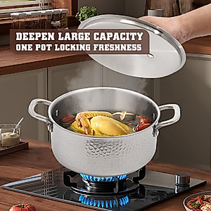 Vivicreate Tri-Ply Stainless Steel Stockpot, Deep Cooking Pot with Lid, Hammered Exterior, Silver (5 Quarts)