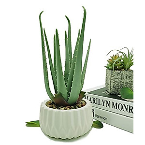 Suntimber Artificial Fake Plant Decor,Aloe Faux Plants in Elegant Ceramic Pot for Bathroom Shelf Decor, Desk Plant for Home & Office Decor - Artificial Fake Succulent Potted