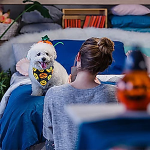 PurrNbark Halloween Dog Bandanas for Small Medium Large Breed Dogs and Cats Dog Bandana Girl Boy Scarf 2Pack Halloween Costumes Accessories Pumpkin Skeleton Ghost Pattern Black