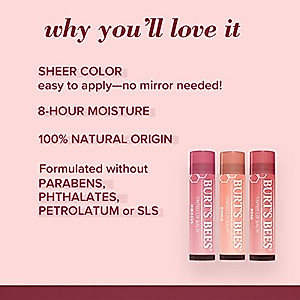 Burt's Bees Lip Balm Easter Basket Stuffers, Tinted Moisturizing Lip Care Spring Gift for Women, for Dry Lips, 100% Natural, with Shea Butter, Hibiscus (2 Pack)