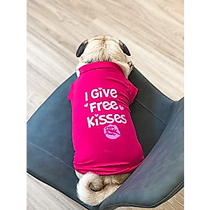 Ollypet Dog Dress and T-Shirt Set of 2 Cute Dog Clothes for Small Dogs XS-XL 2-Pack (X-Small)