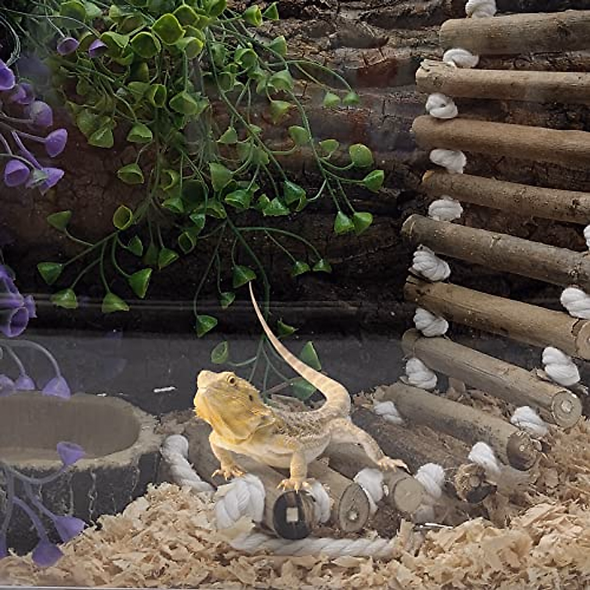 Hamiledyi Gecko Ladder Bridge, 2 PCS Wooden Reptile Ladders Hanging Bearded Dragon Rope Bridge Hermit Crab Climbing Toys Terrarium Accessories for Chameleons Turtle Lizard Frog