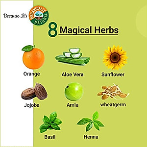 Indus Valley Natural Organic Damage Free Permanent Gel Hair Color, Ammonia Free, Vegan, Cruelty Free, Up to 100% Gray Coverage |Doctor Recommended| Bio Natural Certified- Black 1.0 (20gram+200ml) Pack of 1