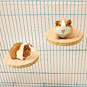 Squirrel Gerbil Chinchilla and Dwarf Hamster L-Shaped Pedal Wooden Platform, 3 Pieces of Natural Wooden Parrot Hamster Round Standing Board, Rat Activity Chinchilla Bird Cage Accessories (Style-1)