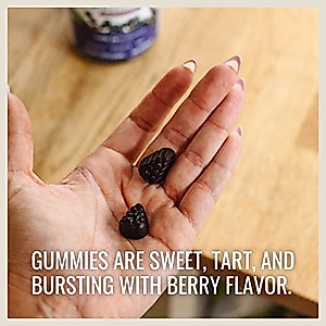 Nature’s Way Sambucus Elderberry Immune Support Gummies*, Elderberry with Vitamin C, Vitamin D and Zinc, 100 Gummies