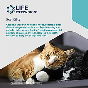 Life Extension Cat Mix – For Heart, Kidney & Pancreatic Function + Gut Health –with Vitamins & Essential Nutrients - Formula For Kitty - Gluten-Free, Non-GMO – Net Wt.100 Grams (85 Servings)