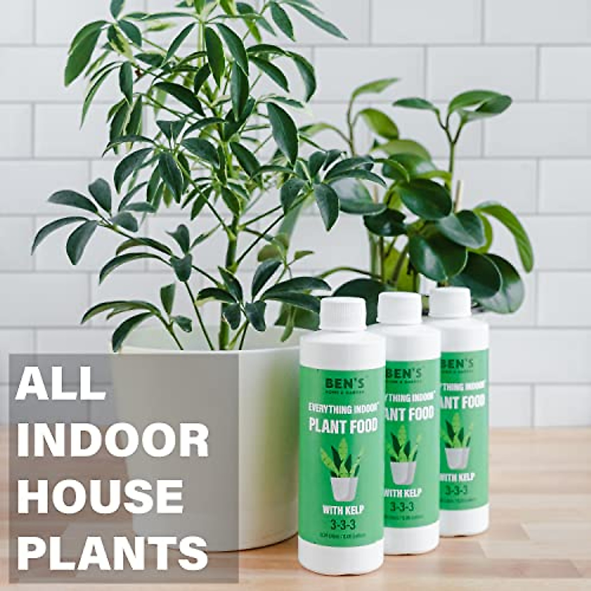 Ben's Home & Garden Everything Indoor Plant Food with Kelp | Liquid Concentrate Indoor Plant Fertilizer 3-3-3 All Purpose Plant Food for House Plants (8 Ounce)