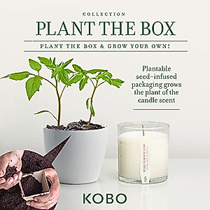 KOBO Wild Tomato Vine Candle with Plantable Box (9 oz) | Plant The Box Collection, 100% Pure Soy Wax Candles | Hand-Poured in USA | Long Lasting 60 Hour Burning Candles | Scented Candles for Home