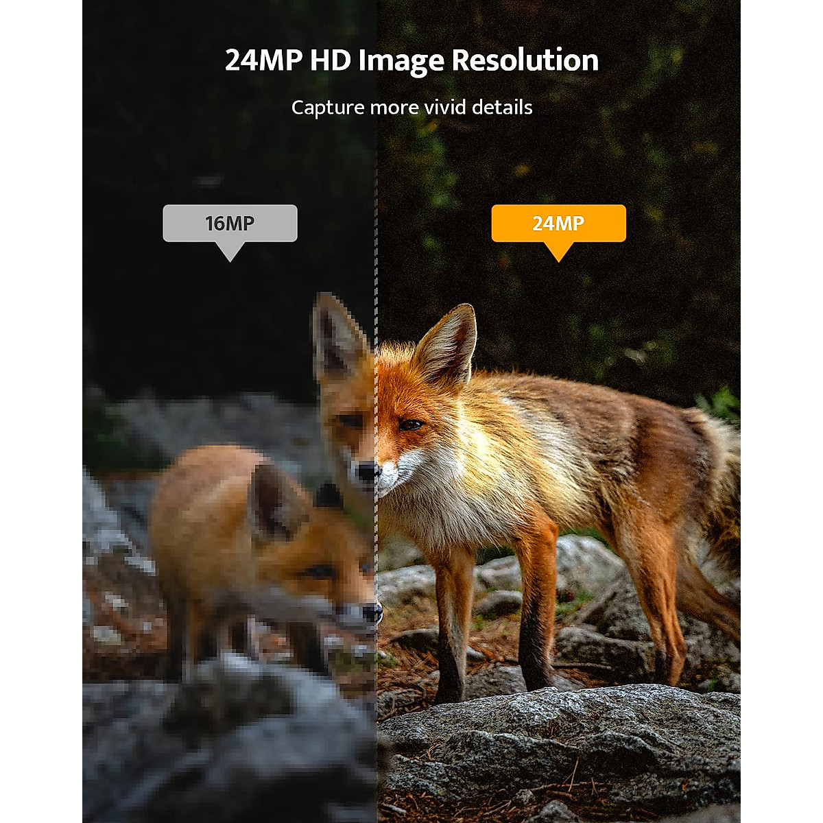 Trail Camera, 24MP 1080P Game Cameras with 850nm Infrared Night Vision, 65ft Motion Activated Deer Hunting Cam for Garden Wildlife Monitoring, IP66 Waterproof, 120° Wide Angle Detection, Easy Set Up