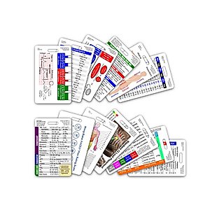 Complete Nurse RN CNA NA Vertical Badge Card Set - 13 Cards