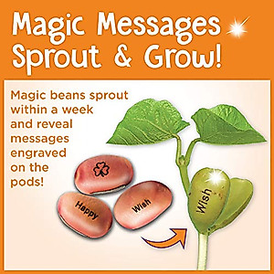 Creativity for Kids Magic Bean Garden, Reveal and Grow Magic Messages - Arts and Crafts for Girls and Boys, Kids Science Kit Ages 5-8+, Unique Gift for Kids