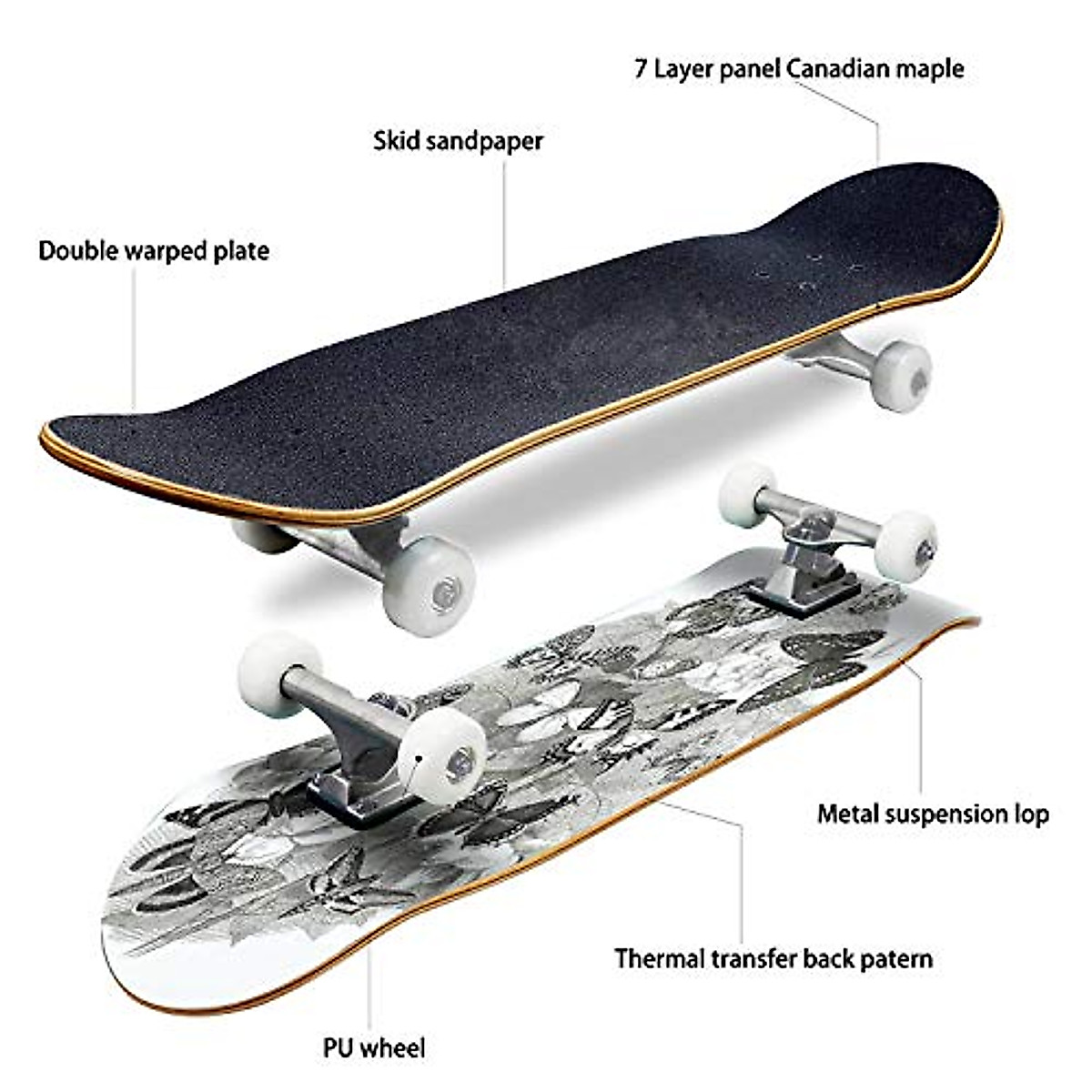 Skateboards Selection of Butterflies Antique Engraving Stock Illustration Classic Concave Skateboard Cool Stuff Teen Gifts Longboard Extreme Sports for Beginners and Professionals