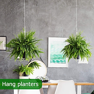 Strong Clear Nylon Fish Wire for Hanging Christmas Decor and 50 Loop Sleeve (218 Yd.)