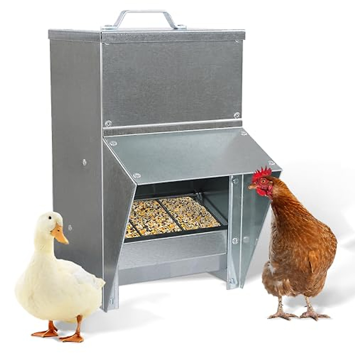 Rural365 50lb Capacity Galvanized Chicken Feeder Weatherproof Coop Dispenser