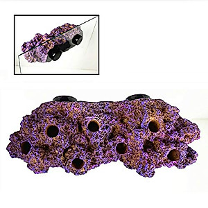 Magnetic Reef Coral Frag Rack Floating Rock Strong Magnets Strong N52 Magnets for 1/2" Glass (Coralline Purple)