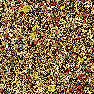 Kaytee Fiesta Parakeet Food 2 lb