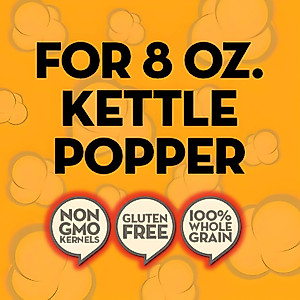 JOLLY TIME All in One Popcorn Kit, Portion Packets with Kernels, Oil and Salt for Movie Theater or Air Popper Machines (24 pack, 8oz Kettle)