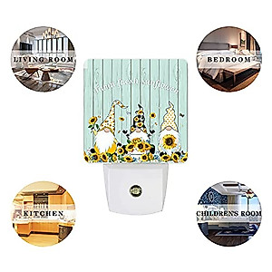 Big buy store Night Lights Auto Sensor Farm Sunflower Gnomes Plug-in LED Nightlights Dusk to Dawn for Living Room, Bedroom, Bathroom, Kitchen, Hallway, Stairways, Bee Butterfly Blue Wood Grain