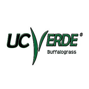 UC Verde Buffalograss Plugs