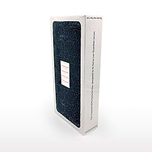 Heating, Cooling & Air HEPA Filter Compatible with Tio2 ELECTROLUX Aerus LUX Guardian AIR Purifier