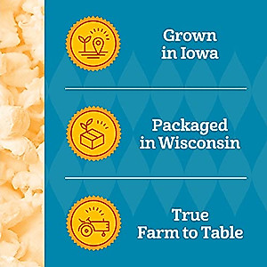 Franklin’s Gourmet Popcorn All-In-One Popcorn Packs for Popcorn Machine - 4oz Pack of 10 - Made in USA - Classic Popcorn Bags with Buttery Salt & Oil