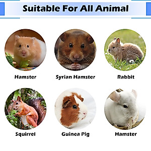 MUYG 5.12 Inch Rabbit Lava Blocks,6 Pcs Small Animals Chews Toys High Calcium Hamster Lava Teeth Grinding Stone for Rabbits Guinea Pig Rats Bunny Hamsters Chinchilla(White)