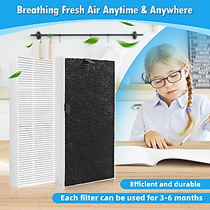 DerBlue 4Pcs H13 True Hepa Filter Replacement for Honeywell U(HRF201B) and Febreze FRF102B,Compatible with Honeywell HHT270, HHT290 and Febreze FHT170, FHT180, FHT190