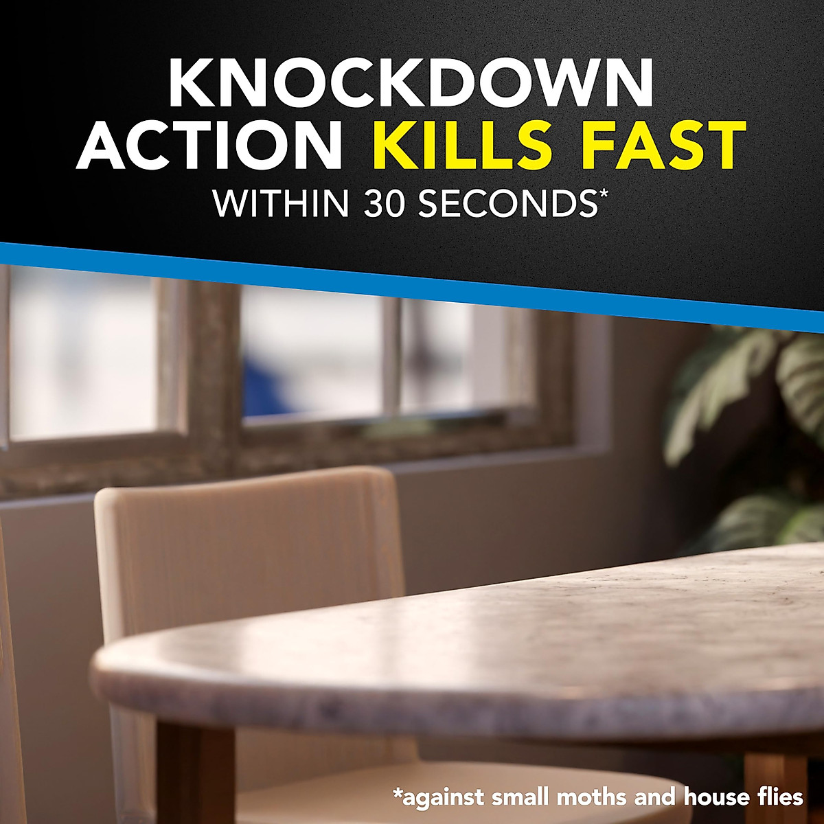 Raid S C Johnson Wax 81666 Fly/Insect Killer, 18-Ounce