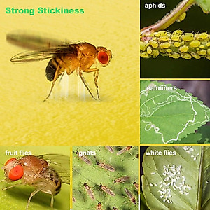 LFSYS 64 Pcs Sticky Traps for gnat, Yellow Stick Traps for Plants, Fungas gnat Traps Double Side with Shovel, Indoor Safe for Gnat, Fruit Fly, White Fly, Aphid, Leaf Miner