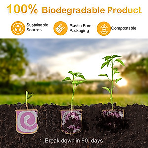 6-Count Toast Shaped Kitchen Sponges for Scratch-Free Dishwashing and Cleaning, Cute and Biodegradable, 40% Larger Compressed Cellulose Sponges, Eco Pop Up Natural Dish Sponges by NECAMOCU