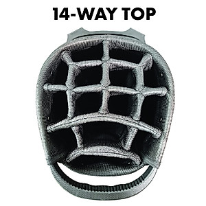 Team Golf MLB Tampa Bay Rays Birdie Golf Stand Bag, Lightweight, 14-Way Club Divider, Spring Action Stand, Insulated Cooler Pocket, Velcro Glove and Umbrella Holder & Padded Handles