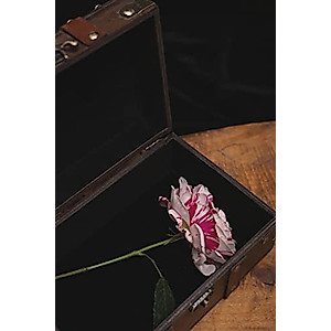 Gbrand 8.3" Wood and Leather Chest Box with Velvet Lining, Yggdrasil Tree of Life Engraved Wooden Box, Pentacle Wiccan Supplies and Tools Storage Box, Home Decor Box (Tree of Life)